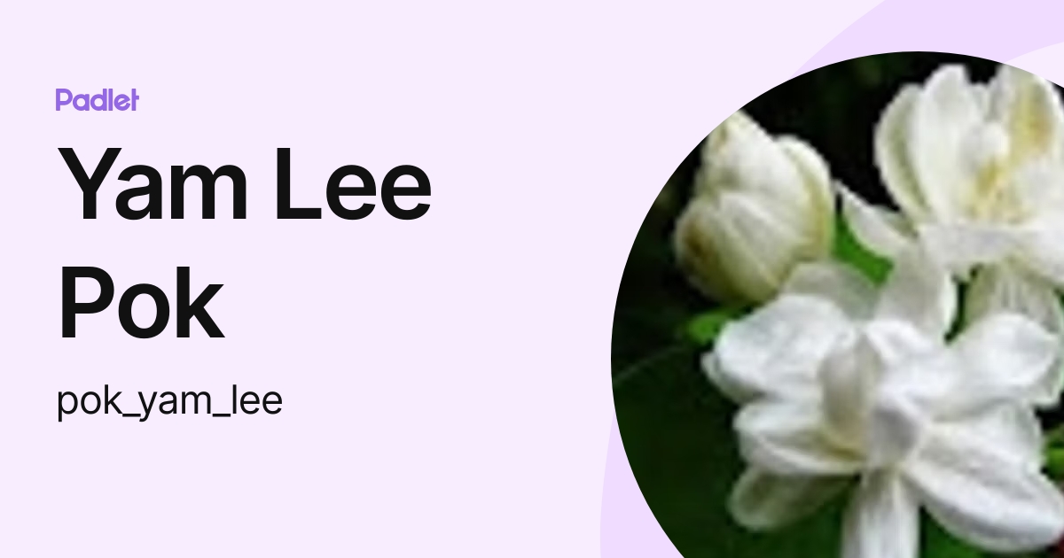 Yam Lee Pok (pok_yam_lee) profile | Padlet