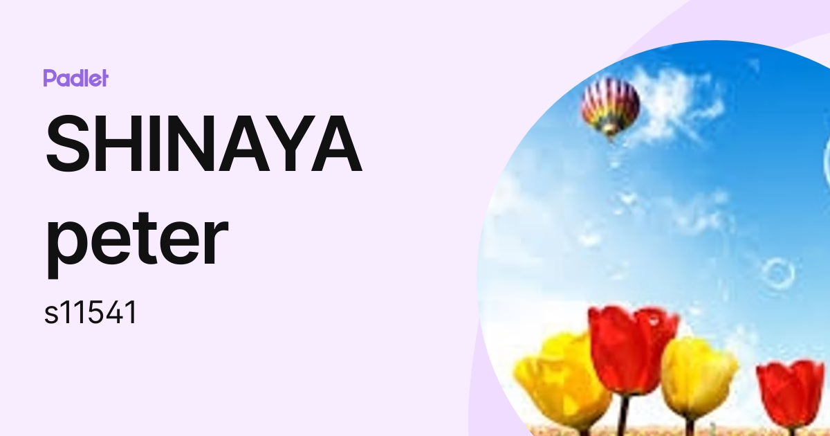 SHINAYA peter (s11541) profile | Padlet