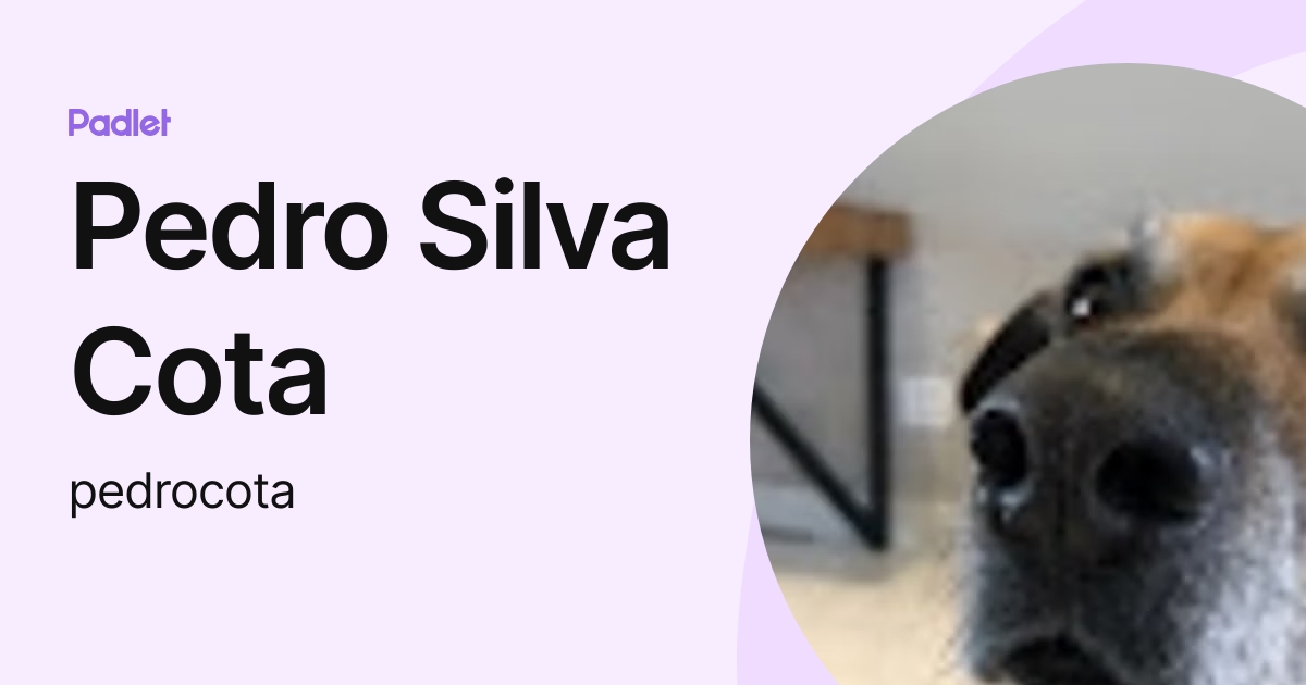 Pedro Silva Cota (pedrocota) profile | Padlet