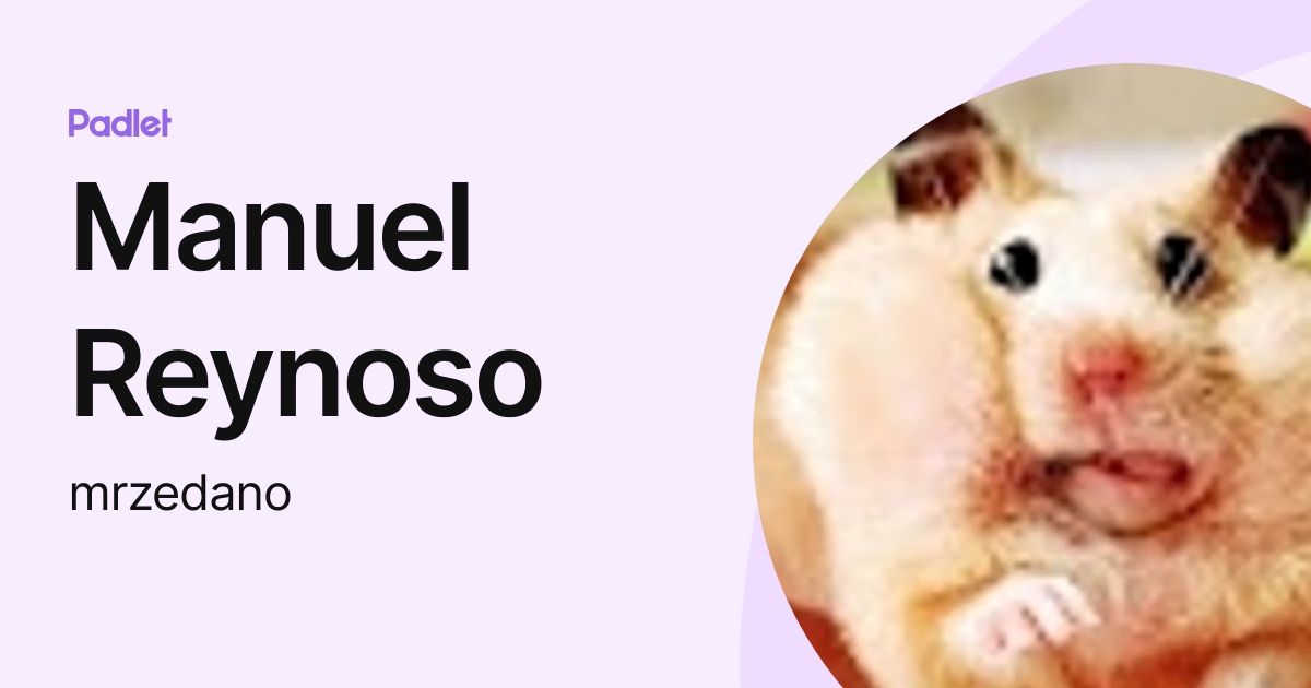 Manuel Reynoso (mrzedano) profile | Padlet
