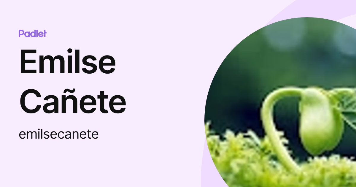 Emilse Cañete (emilsecanete) profile | Padlet