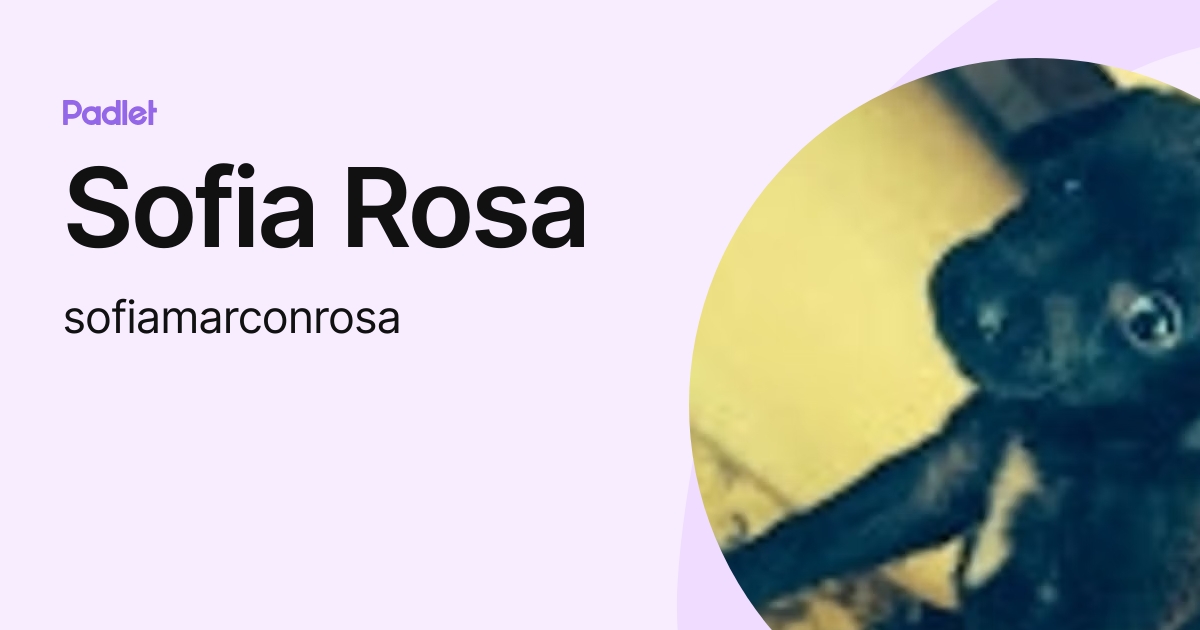 Sofia Rosa (sofiamarconrosa) profile | Padlet
