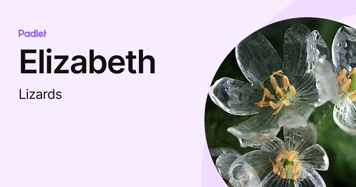 Elizabeth (Lizards) profile | Padlet