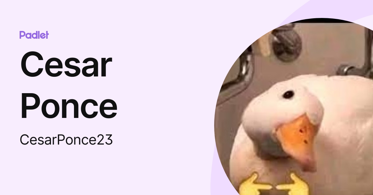 Cesar Ponce (CesarPonce23) profile | Padlet