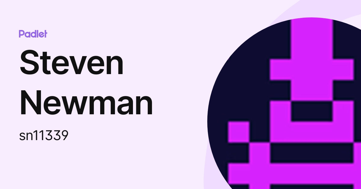 Steven Newman (sn11339) profile | Padlet