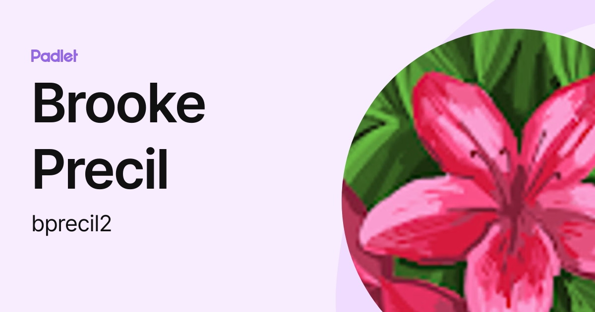 Brooke Precil (bprecil2) profile | Padlet