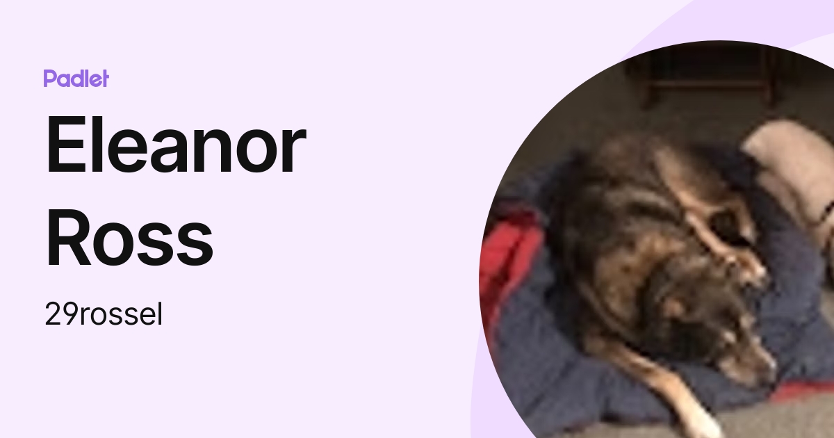 Eleanor Ross (29rossel) profile | Padlet