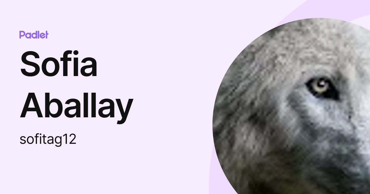 Sofia Aballay (sofitag12) profile | Padlet