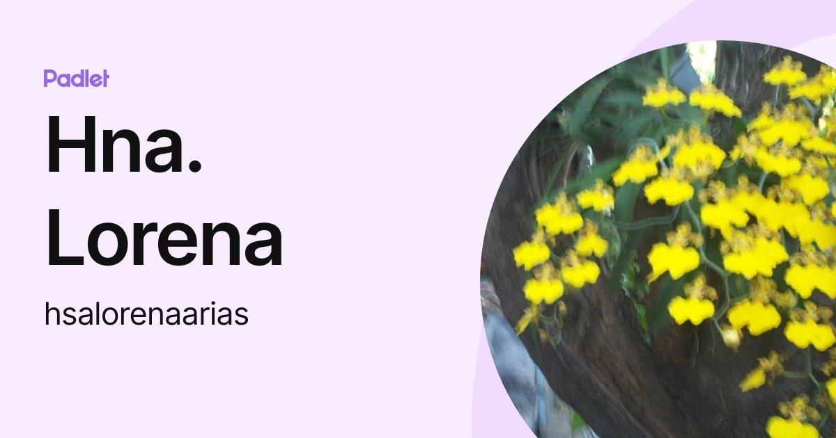 Hna. Lorena (hsalorenaarias) profile | Padlet