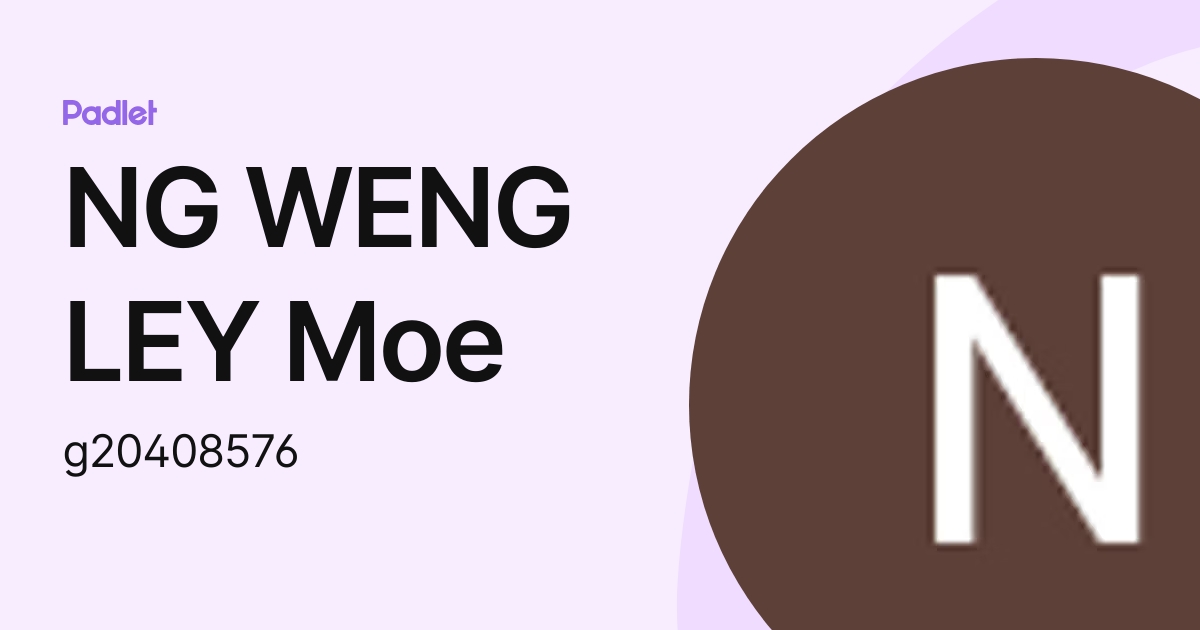 NG WENG LEY Moe (g20408576) profile | Padlet