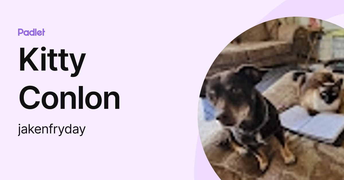 Kitty Conlon (jakenfryday) profile | Padlet