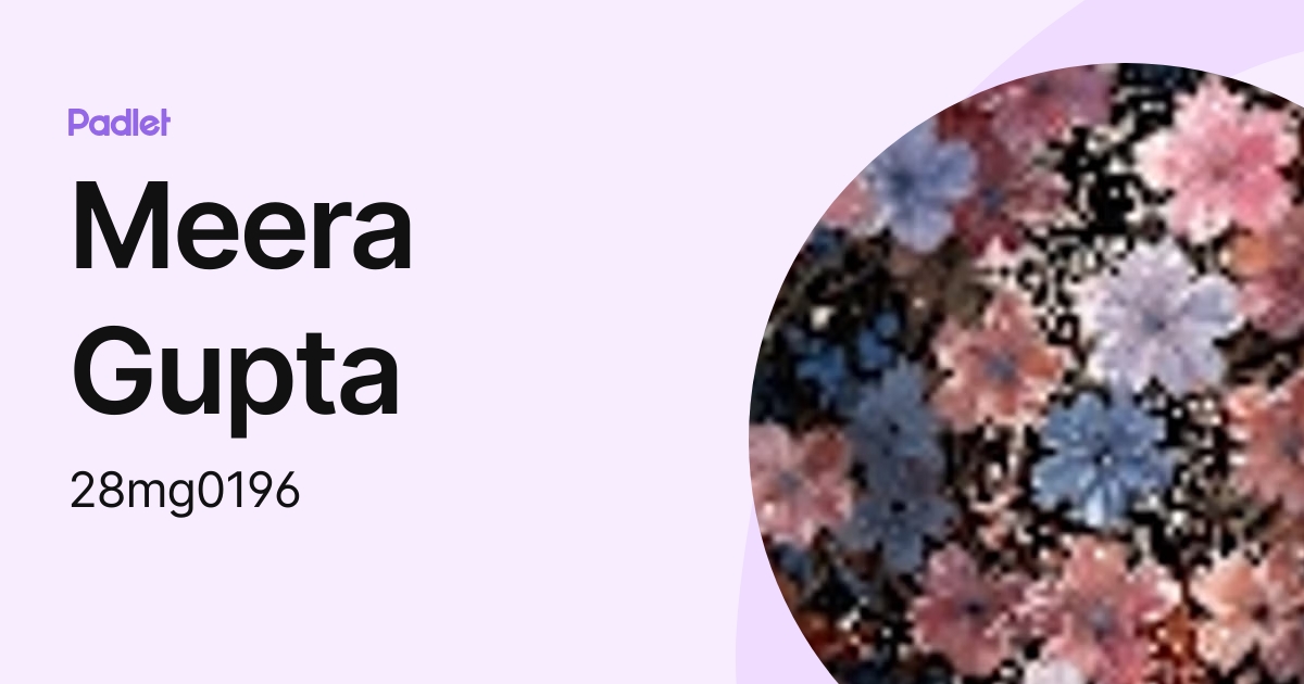 Meera Gupta (28mg0196) profile | Padlet