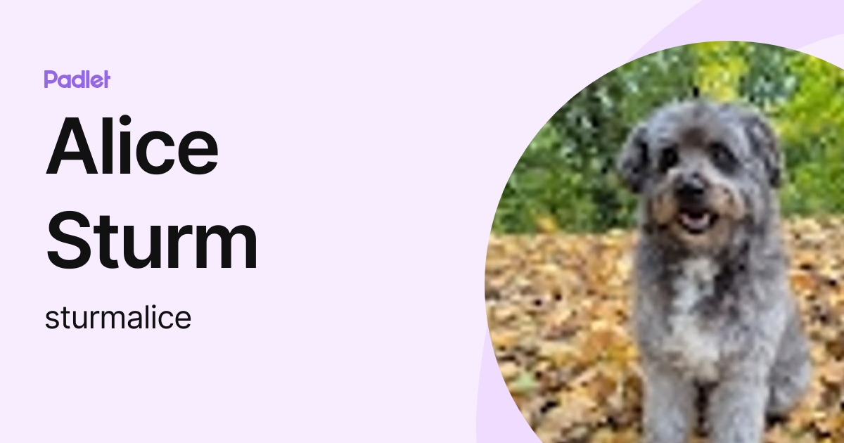 Alice Sturm (sturmalice) profile | Padlet