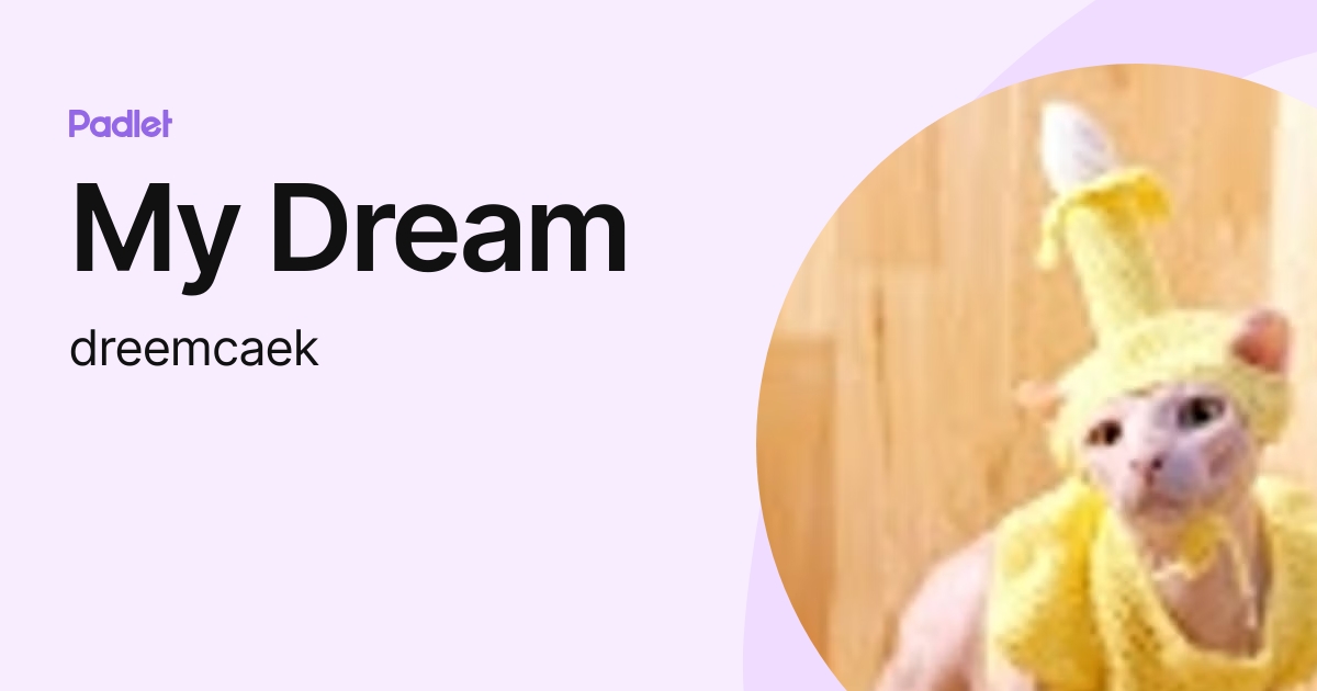 My Dream (dreemcaek) profile | Padlet
