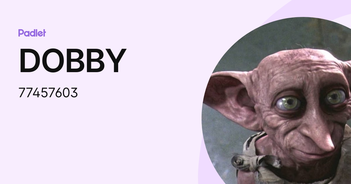 DOBBY (77457603) profile | Padlet