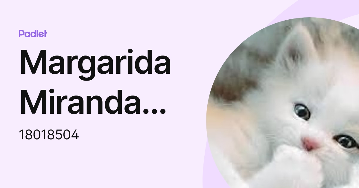 Margarida Miranda Lima (18018504) profile | Padlet