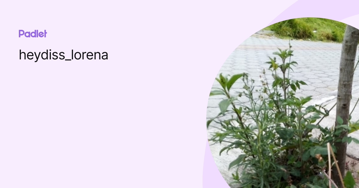 heydiss_lorena profile | Padlet