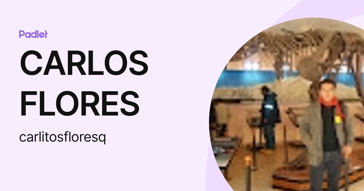 CARLOS FLORES (carlitosfloresq) profile | Padlet