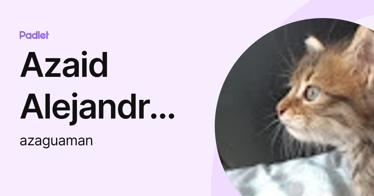 Azaid Alejandro Guamán (azaguaman) profile | Padlet