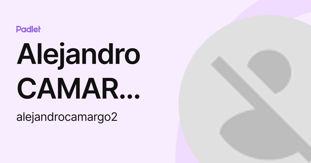 Alejandro CAMARGO FERNANDEZ (alejandrocamargo2) profile | Padlet