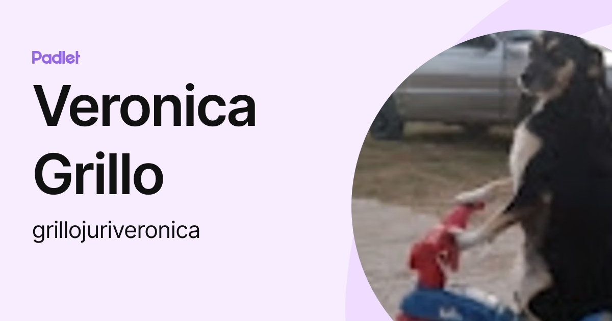 Veronica Grillo (grillojuriveronica) profile | Padlet