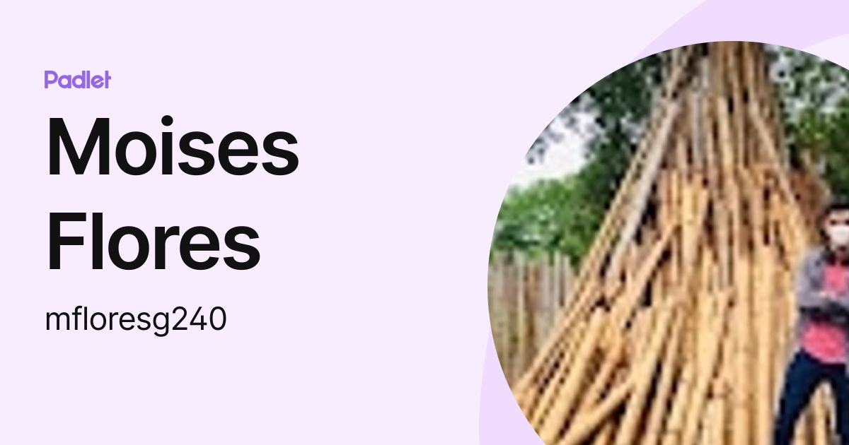 Moises Flores (mfloresg240) profile | Padlet