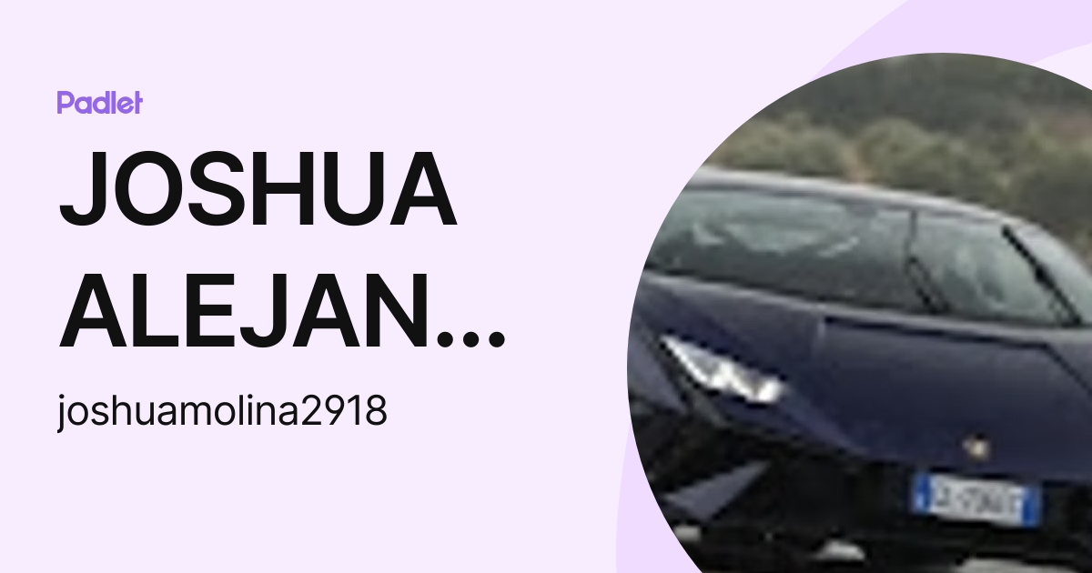 JOSHUA ALEJANDRO MOLINA LOAISIGA (joshuamolina2918) profile | Padlet