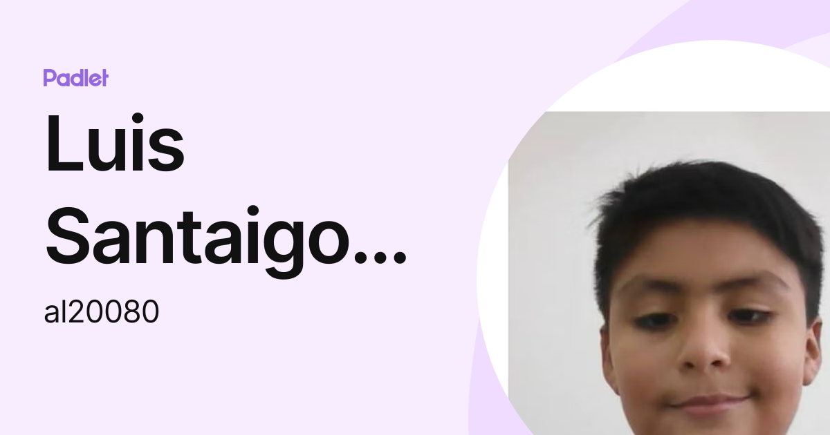 Luis Santaigo Quinto - al20080 (al20080) profile | Padlet