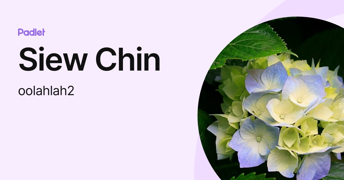 Siew Chin (oolahlah2) profile | Padlet