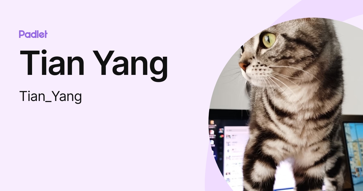 Tian Yang (Tian_Yang) profile | Padlet