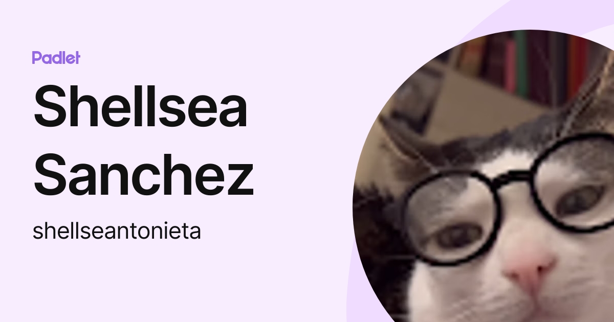 Shellsea Sanchez (shellseantonieta) profile | Padlet