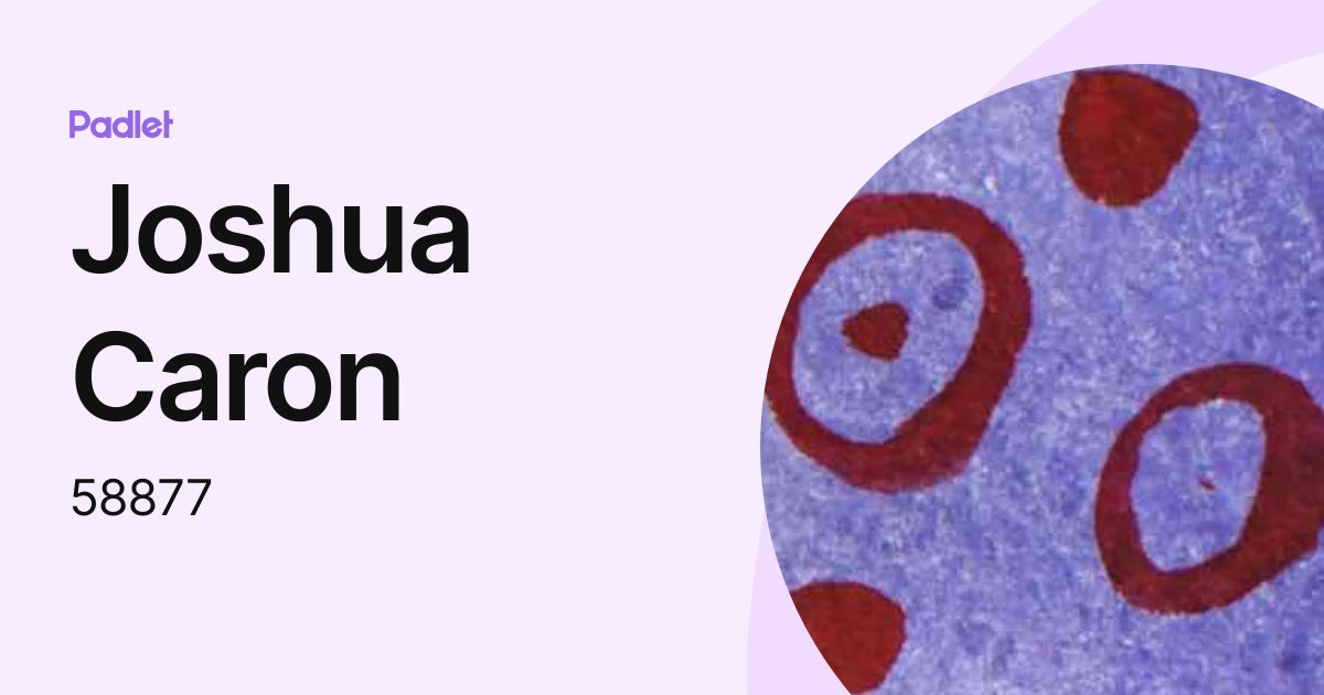 Joshua Caron (58877) profile | Padlet