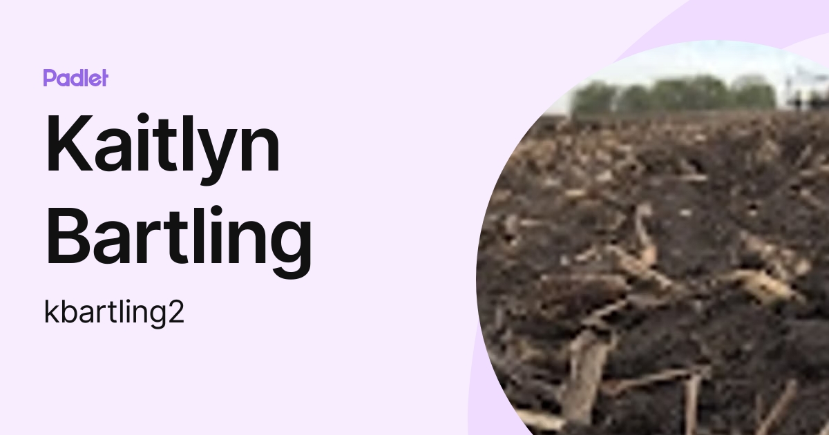 Kaitlyn Bartling (kbartling2) profile | Padlet