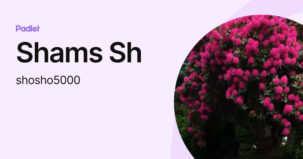Shams Sh (shosho5000) profile | Padlet