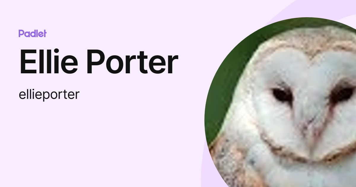 Ellie Porter (ellieporter) profile | Padlet