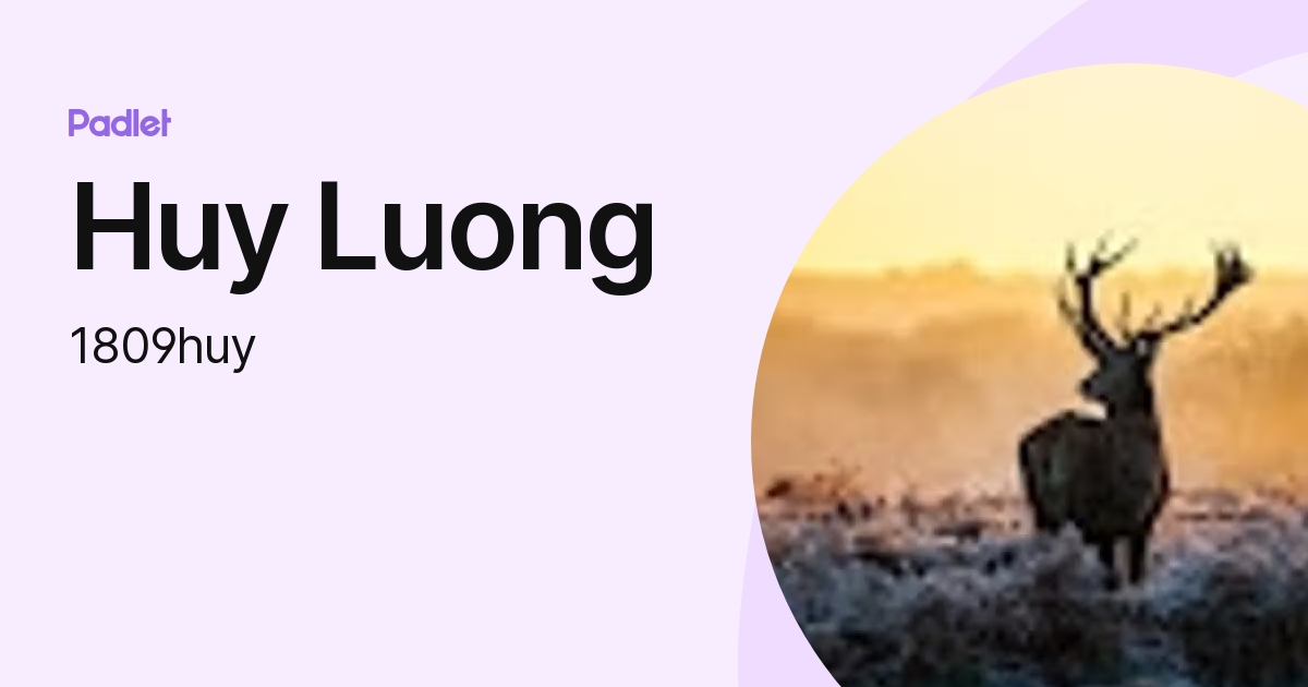Huy Luong (1809huy) profile | Padlet