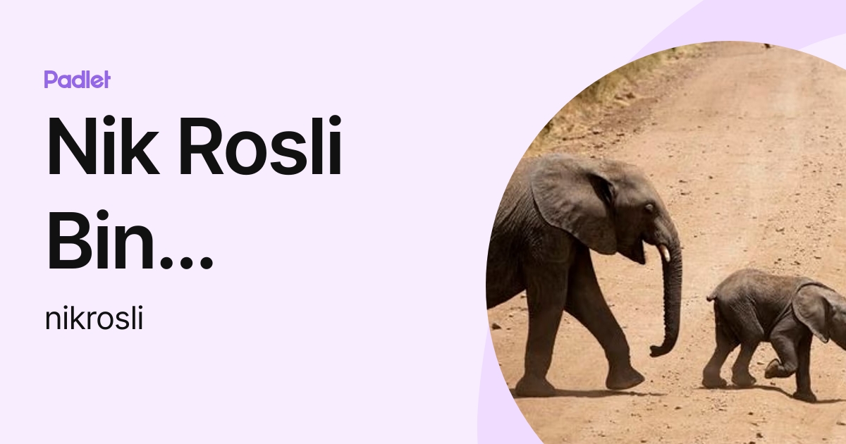 Nik Rosli Bin Ibrahim ibrahim (nikrosli) profile | Padlet