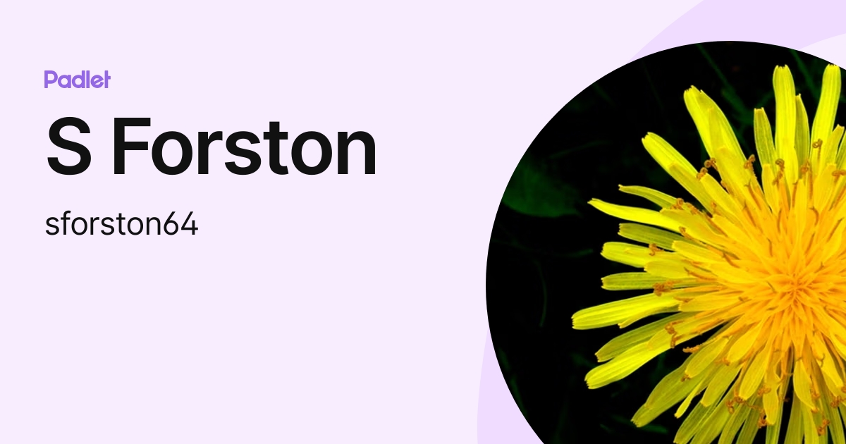 S Forston (sforston64) profile | Padlet