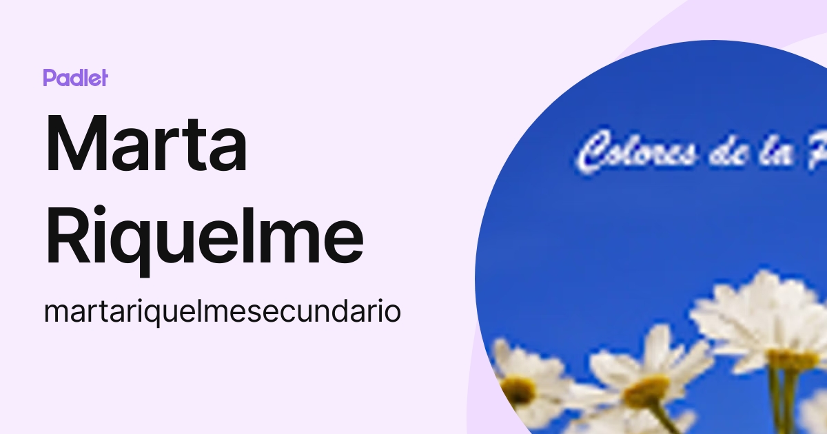Marta Riquelme (martariquelmesecundario) profile | Padlet