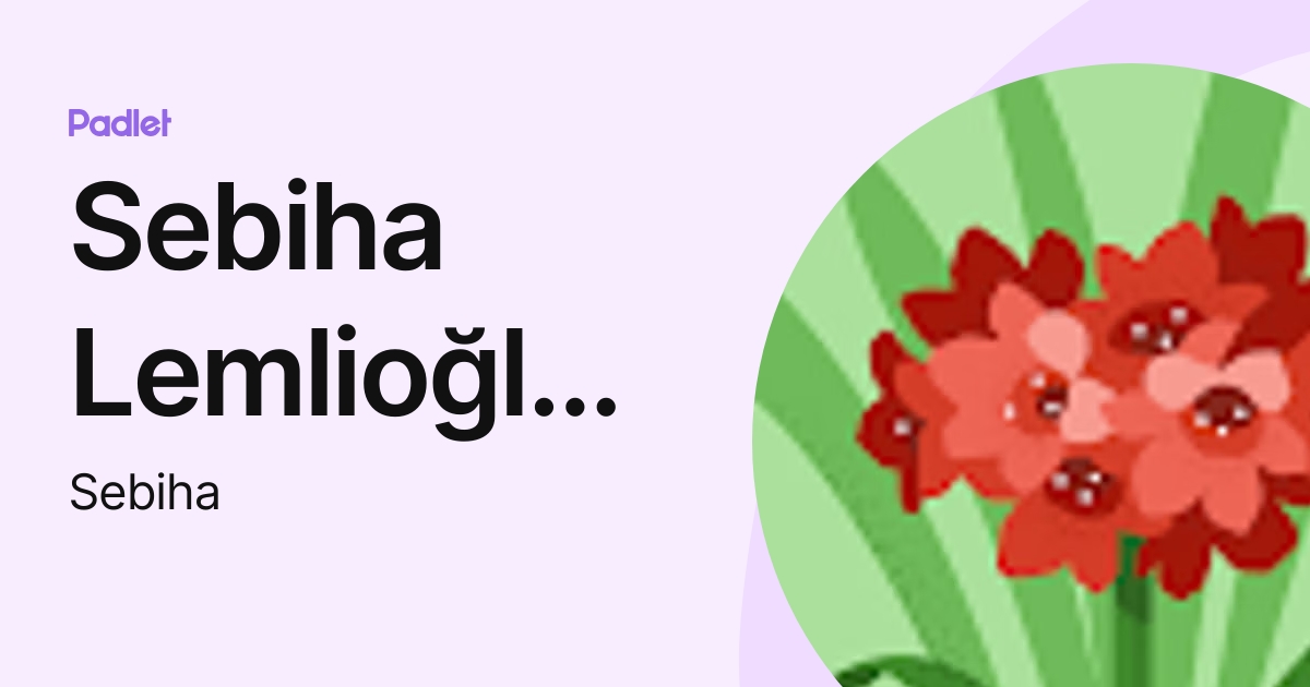 Sebiha Lemlioğlu Erbay (Sebiha) profile | Padlet