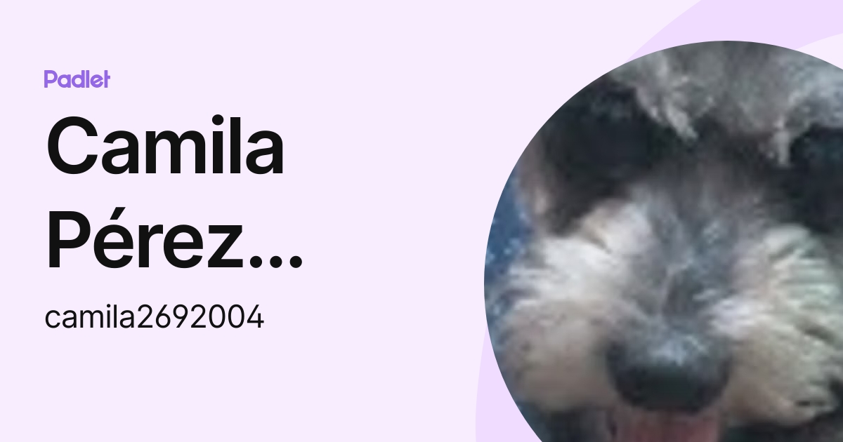 Camila Pérez Mirabal (camila2692004) profile | Padlet