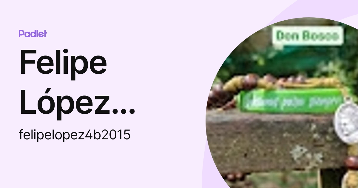 Felipe López Mesa (felipelopez4b2015) profile | Padlet