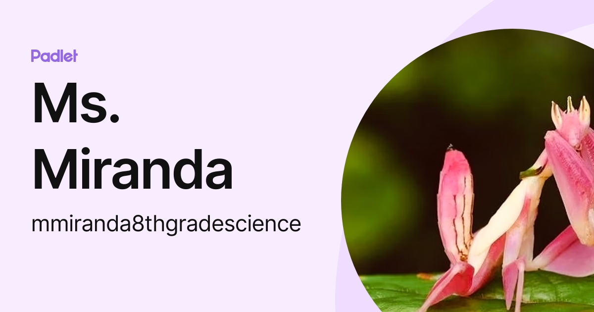 Ms. Miranda (mmiranda8thgradescience) profile | Padlet