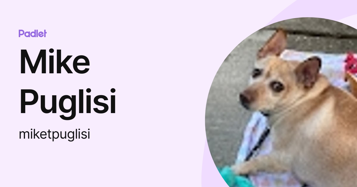 Mike Puglisi (miketpuglisi) profile | Padlet