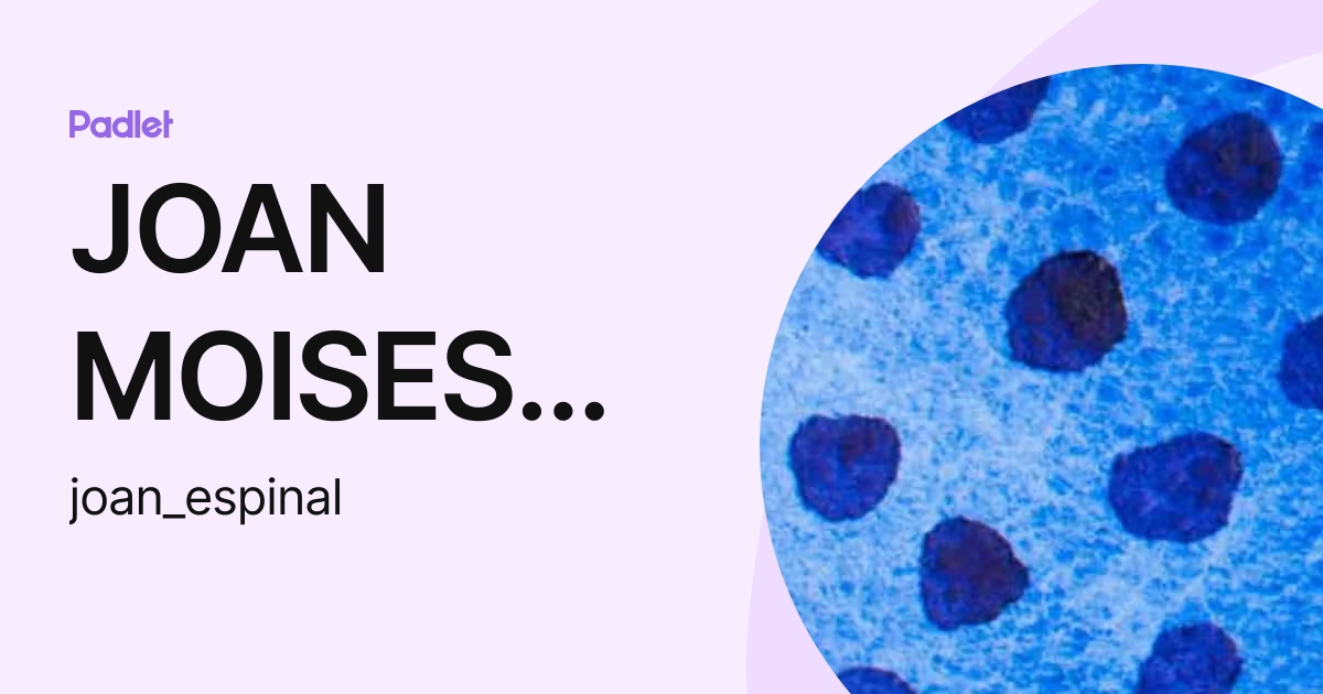 JOAN MOISES ESPINAL RAMIREZ (joan_espinal) profile | Padlet