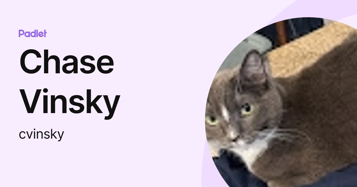 Chase Vinsky (cvinsky) profile | Padlet