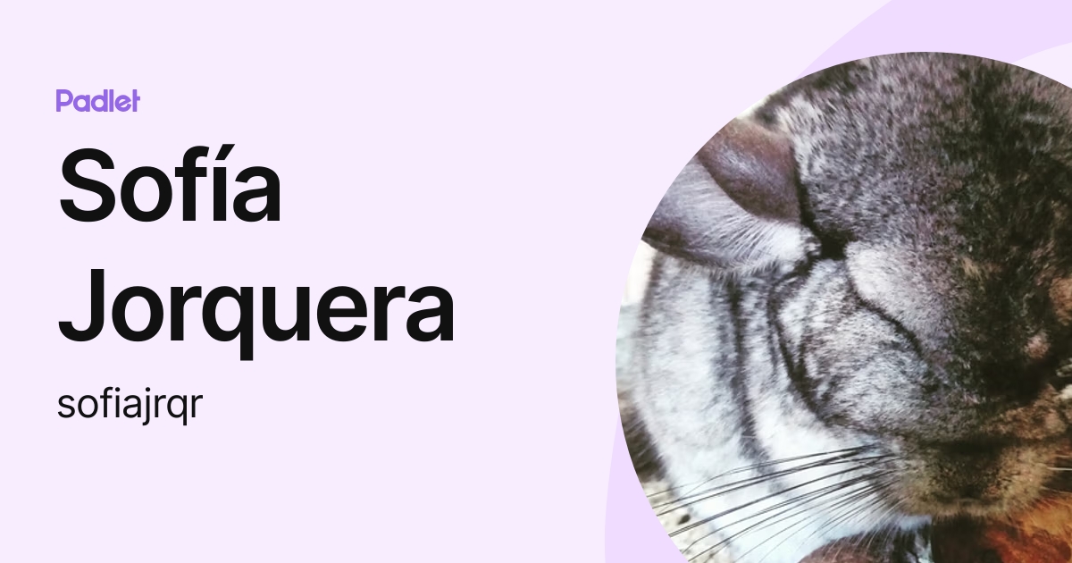 Sofía Jorquera (sofiajrqr) profile | Padlet