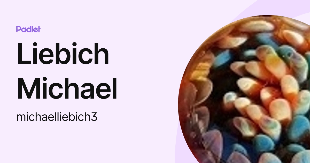 Liebich Michael (michaelliebich) profile | Padlet