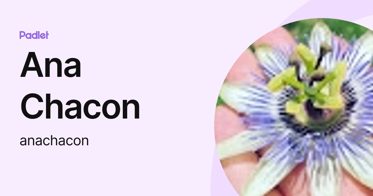 Ana Chacon (anachacon) profile | Padlet