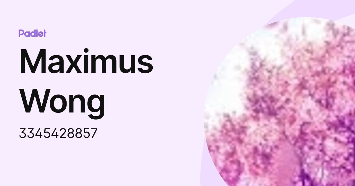 Maximus Wong (3345428857) profile | Padlet